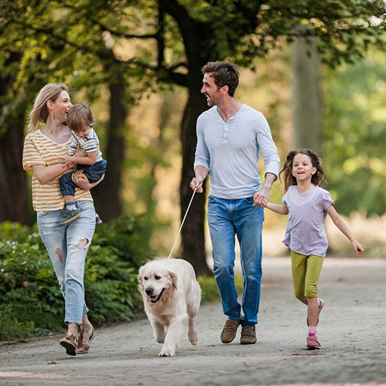 Asheville, NC Residential Development | FIRC Group